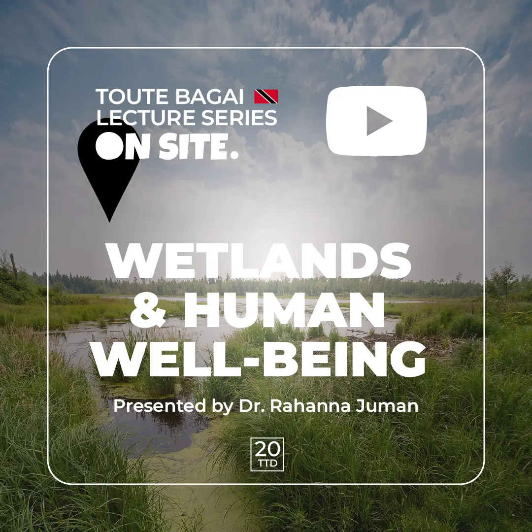 Wetlands & Human Well-being – Lecture Recording — National Trust of ...
